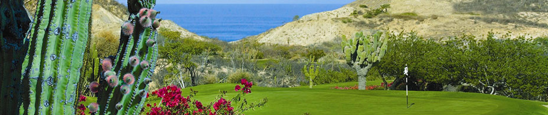 destination-baja-cali-header