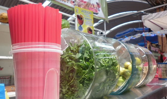 lydia_carey_roma_delicias