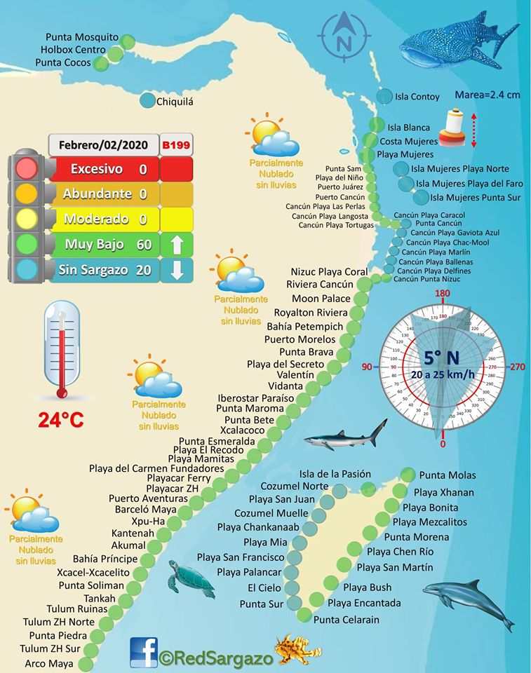Update on Sargassum Seaweed Affecting Mexico's Beaches - Journey Mexico