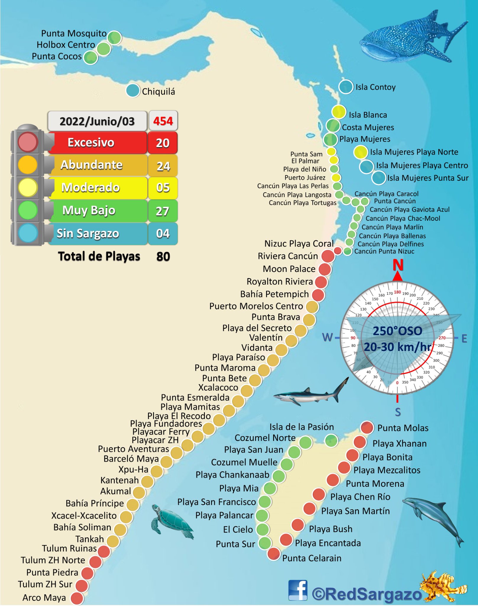Update on Sargassum Seaweed Affecting Mexico's Beaches - Journey Mexico