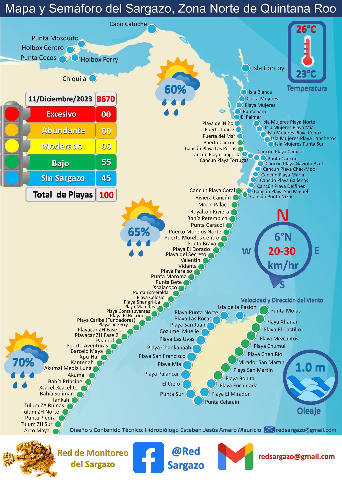 Update on Sargassum Seaweed Affecting Mexico's Beaches
