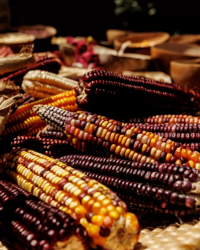 Mexico Luxury Travel | Journey Mexico